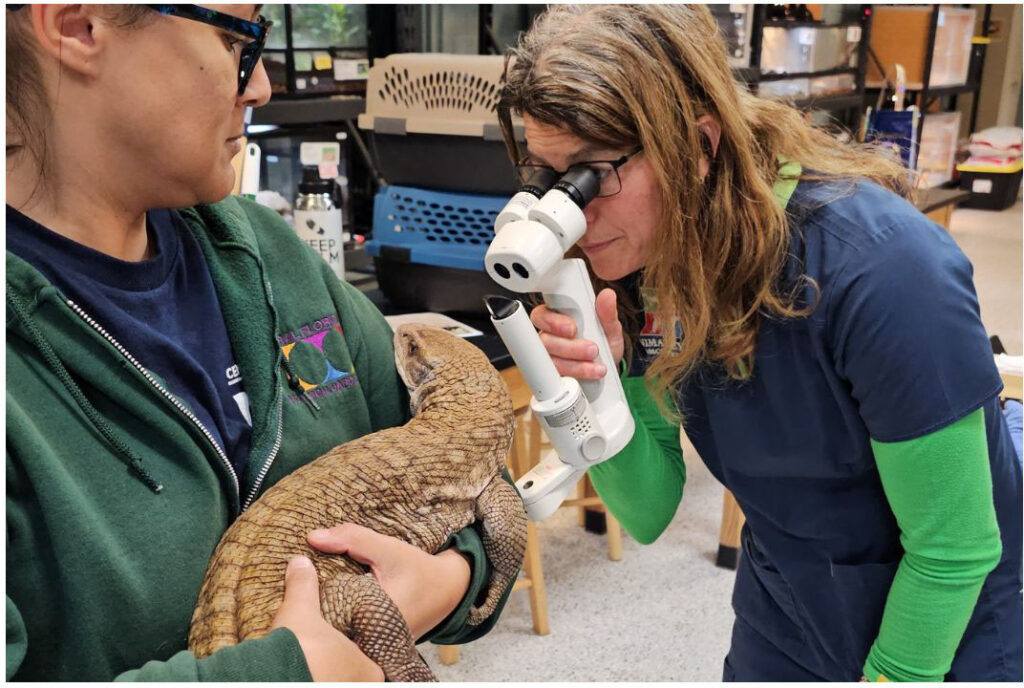 Welcome - Animal Eye Associates
